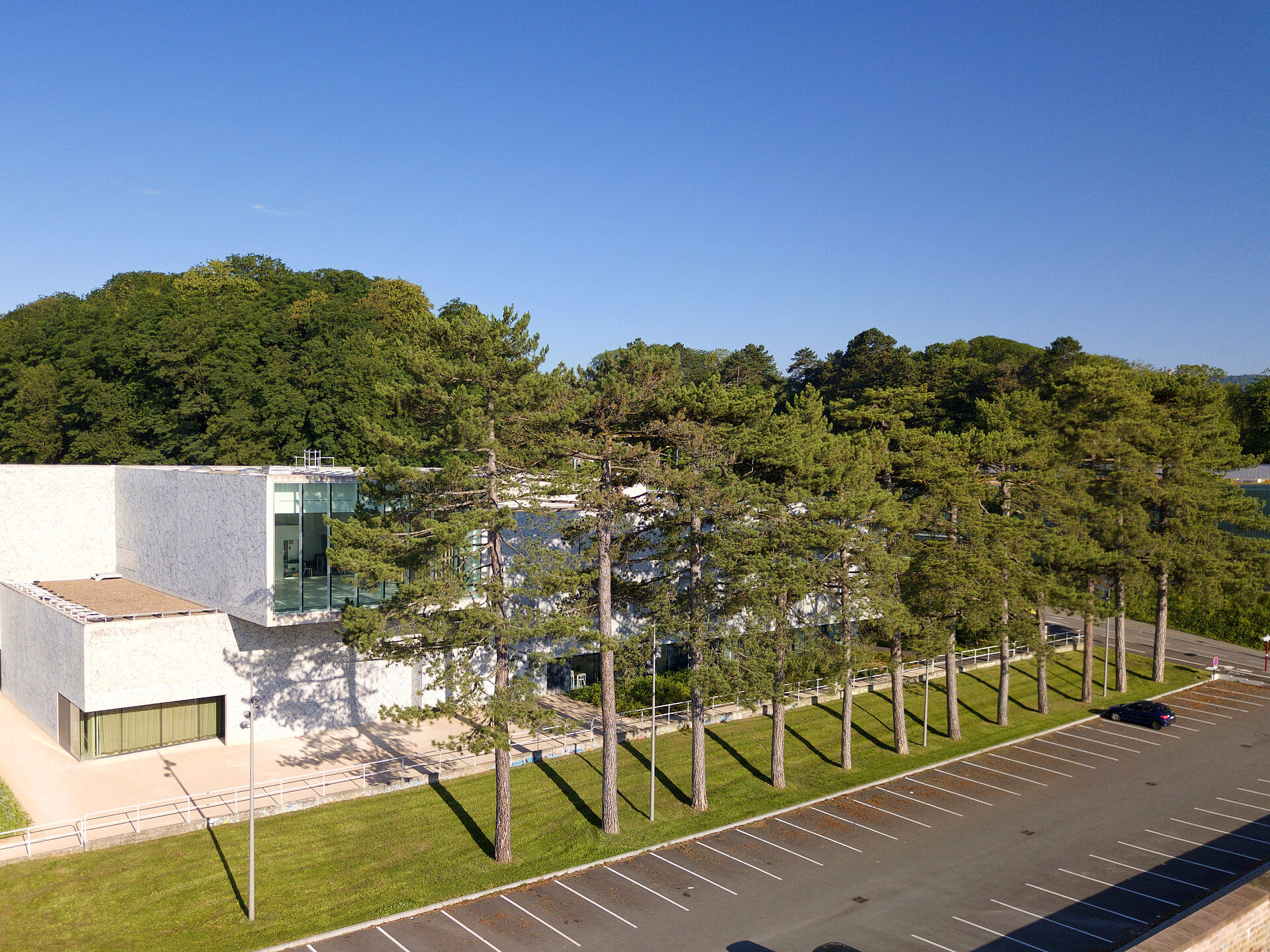 BELFORT LAURÉAT DU PRIX NATIONAL DE L’ARBRE 2019 - Ville de Belfort - Ville de Belfort
