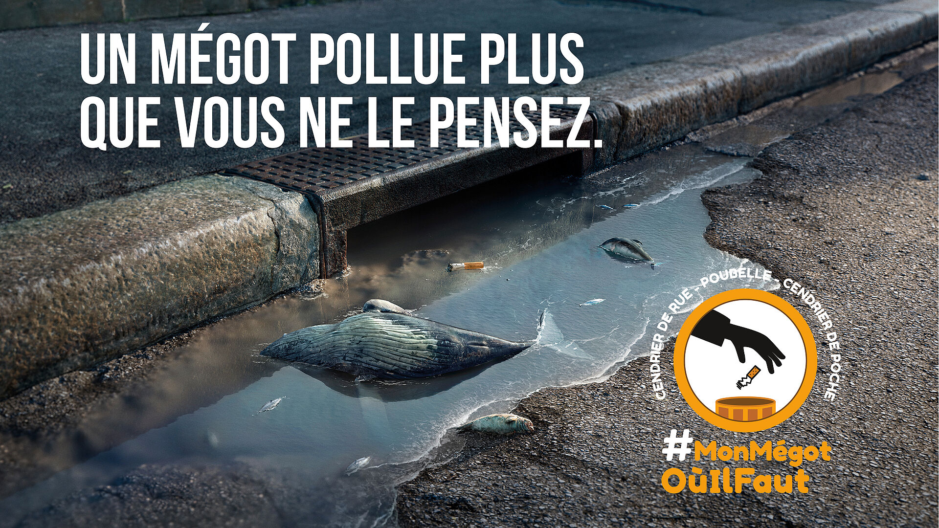 Un mégot pollue plus que vous ne le pensez - Ville de Belfort - Ville de Belfort